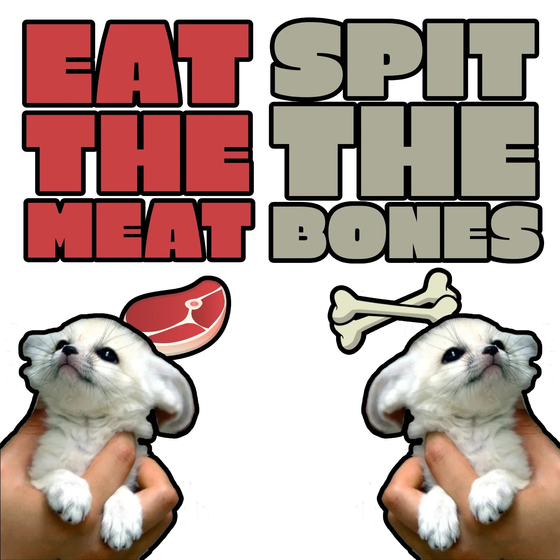 Eat the Meat, Spit the Bones – Dance of Life Podcast Merch Store